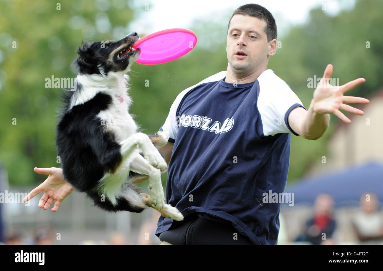 Marco Pedrotti presents the skills of his Border Collie ?Yuki? during ...