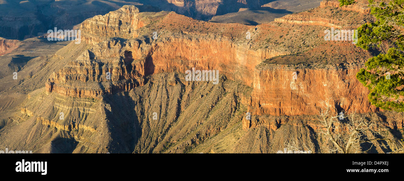 overview of the Grand Canyon at sunset in Arizona in the United States ...