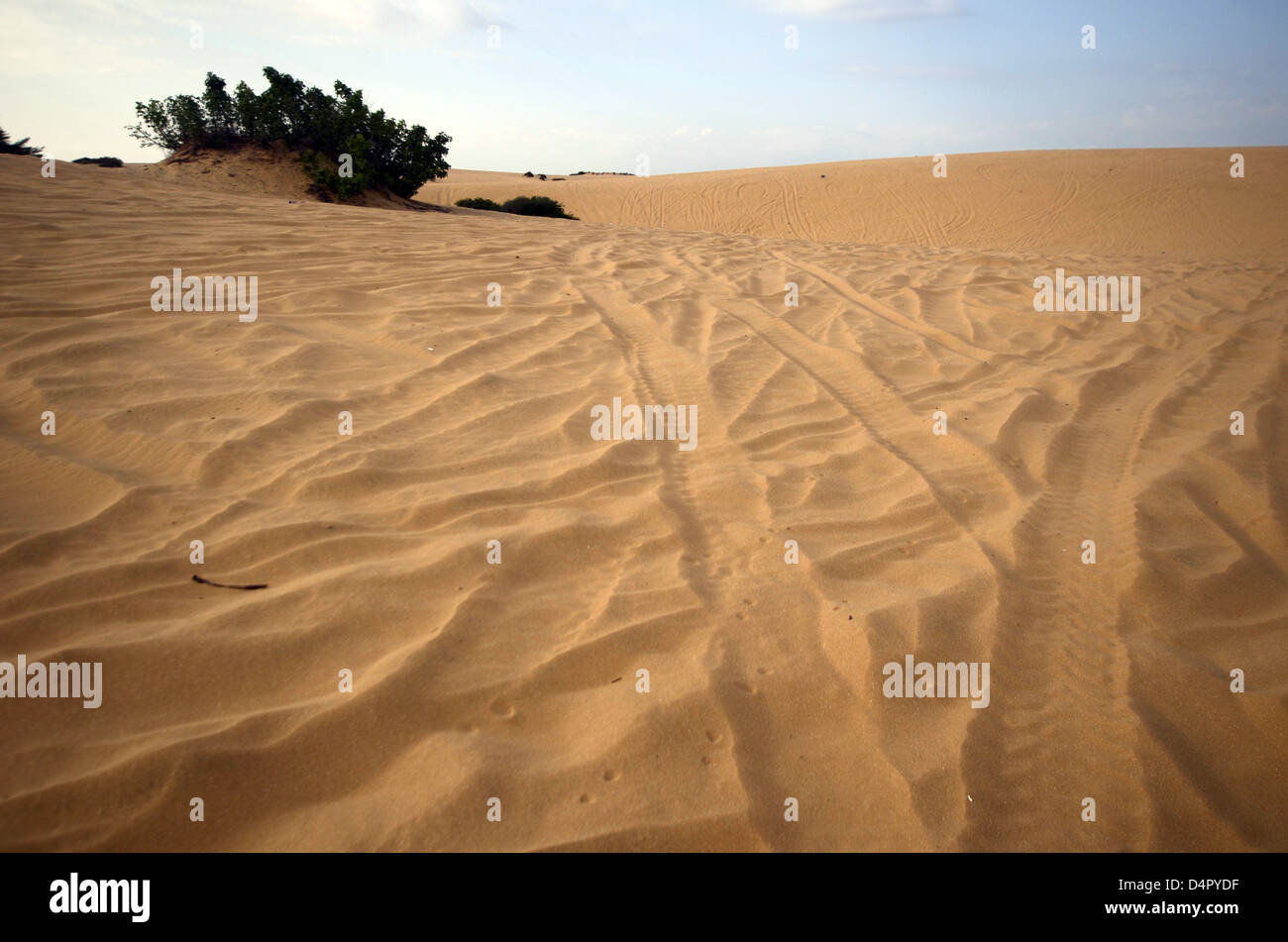 Desert sand dune Stock Photo - Alamy
