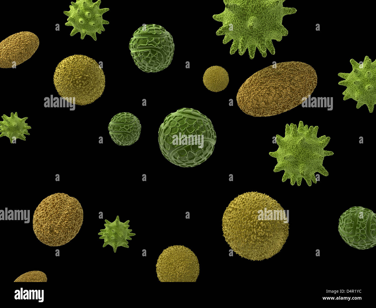 Pollen close up Stock Photo - Alamy