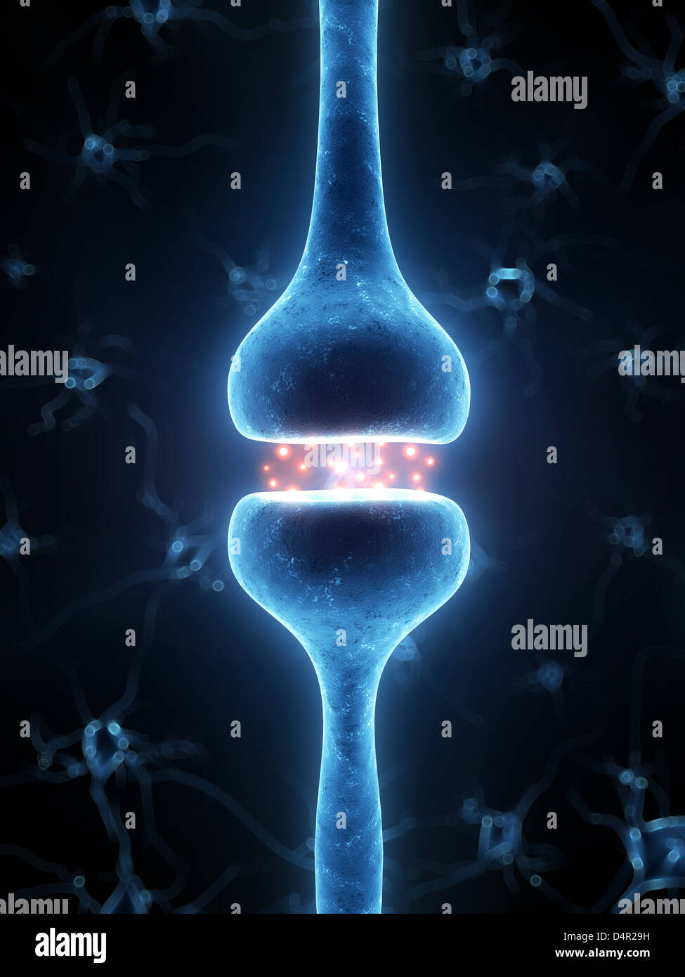 Active hormone hi-res stock photography and images - Alamy