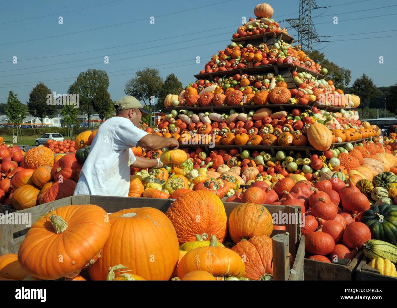 A pyramid made from edible and uneatable pumpkins stands in Roesrath ...