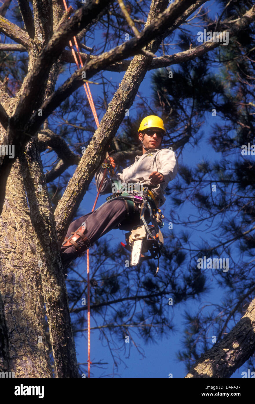 Woodcutter america hi-res stock photography and images - Alamy