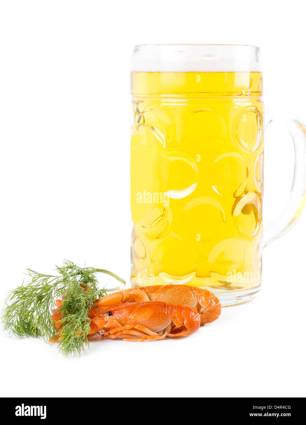 Glass tankard of frothy golden beer with two delicious cooked king ...