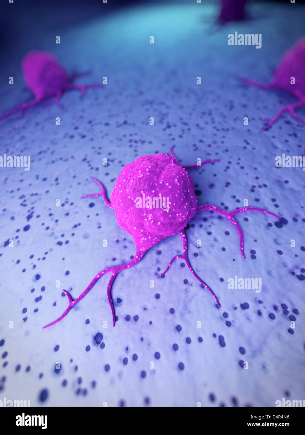 Scanning electron microscope cancer hi-res stock photography and images ...