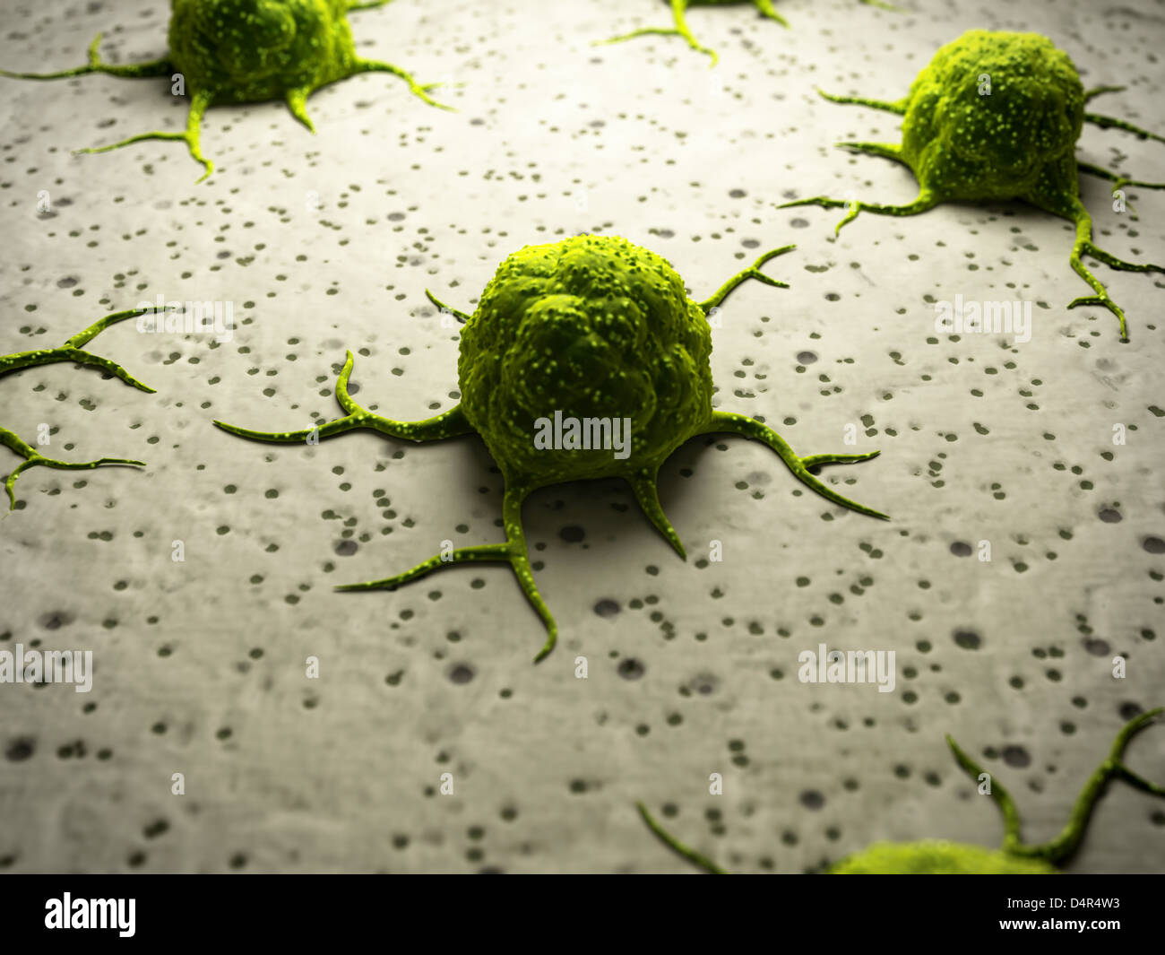Cancer cell electron microscope hi-res stock photography and images - Alamy