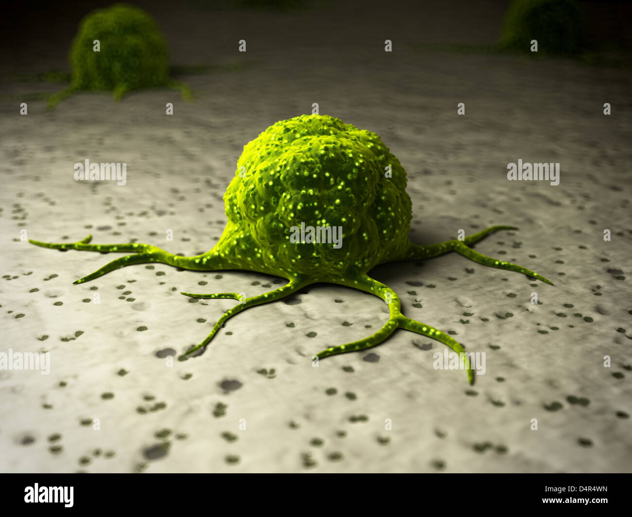 Scanning electron microscope cancer hi-res stock photography and images ...
