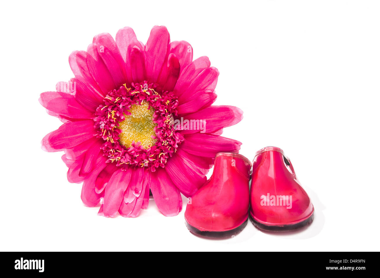 Flower without petals Cut Out Stock Images & Pictures - Alamy