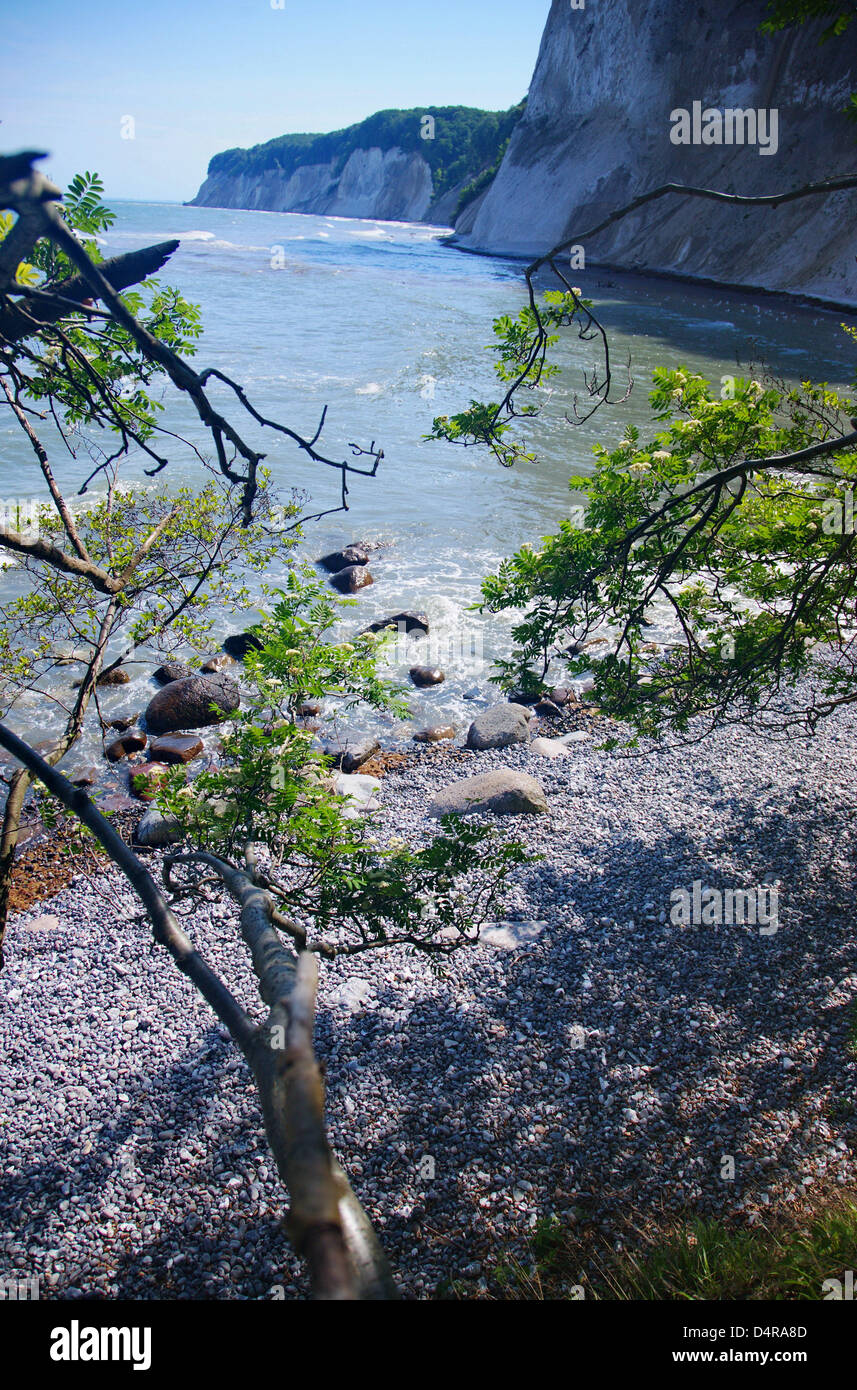 The chalk cliffs of Jasmund National Park to the north of Sassnitz on ...