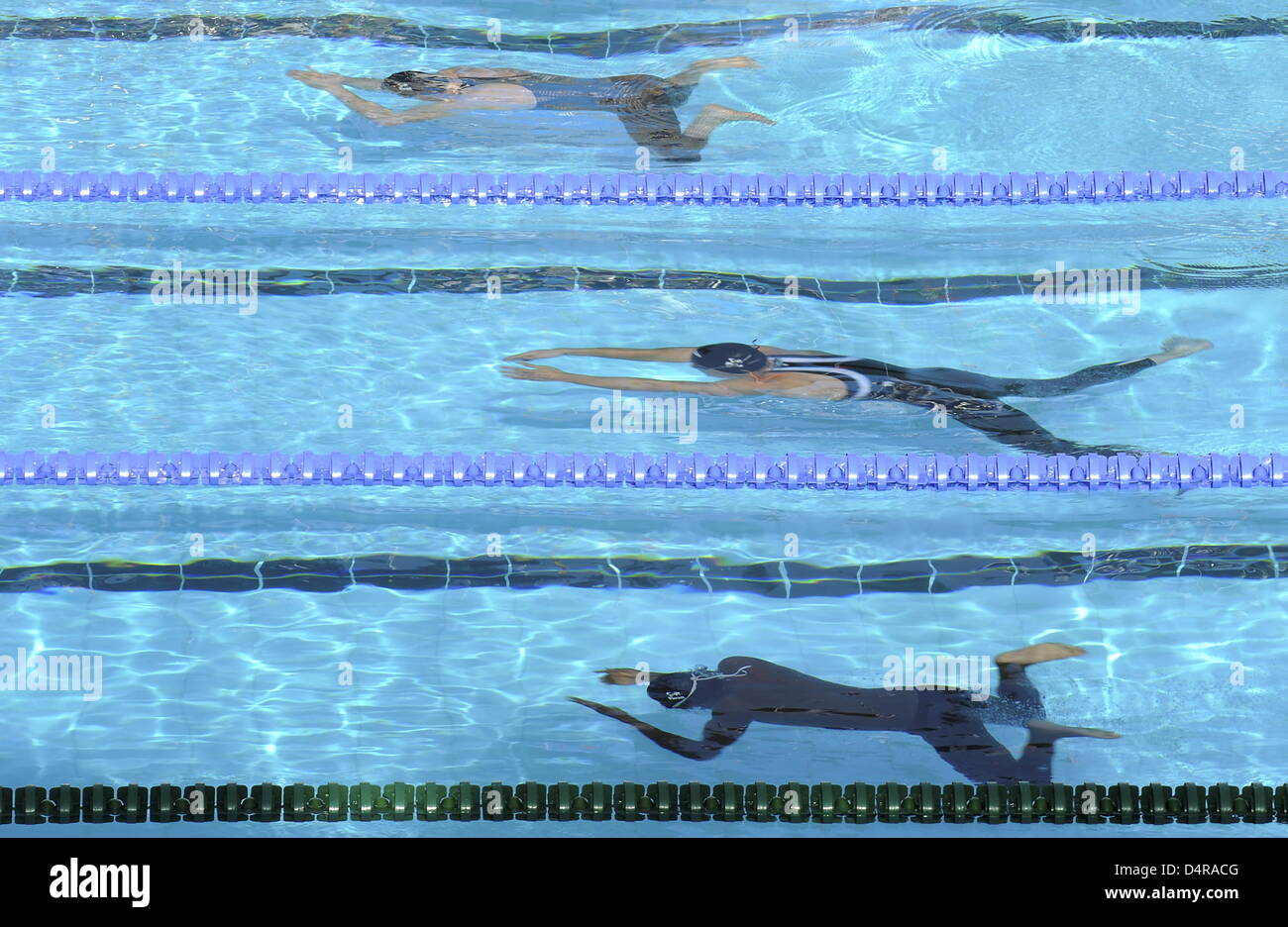 Swimmers compete in a 50m Breaststroke prelim heat at the FINA Swimming ...