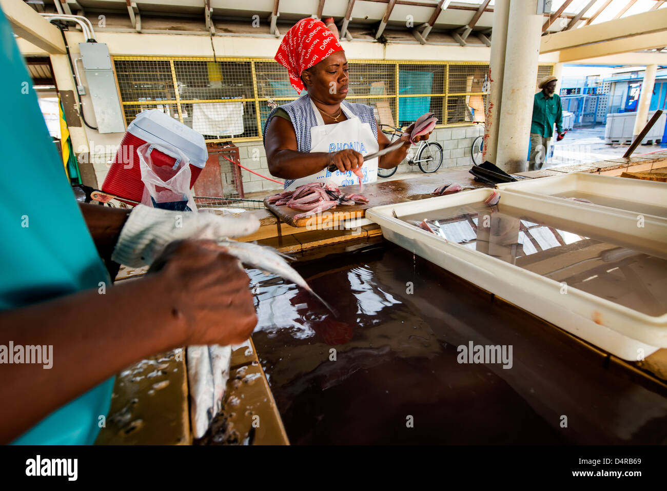 Flying fish caribbean hi-res stock photography and images - Alamy
