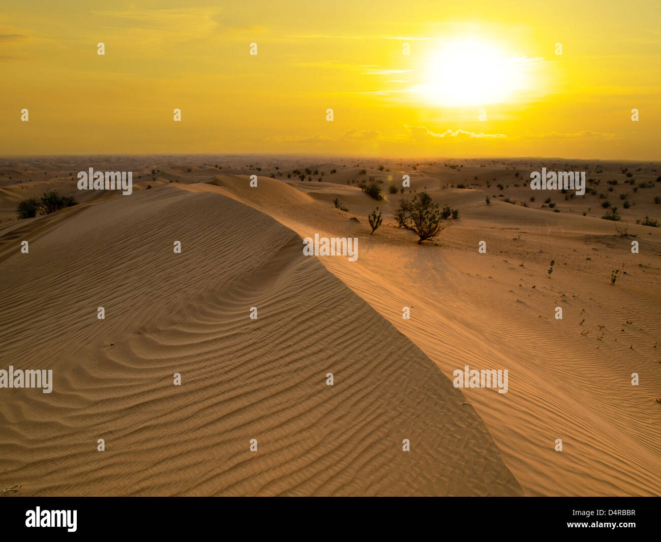 Desert beach landscape hi-res stock photography and images - Alamy