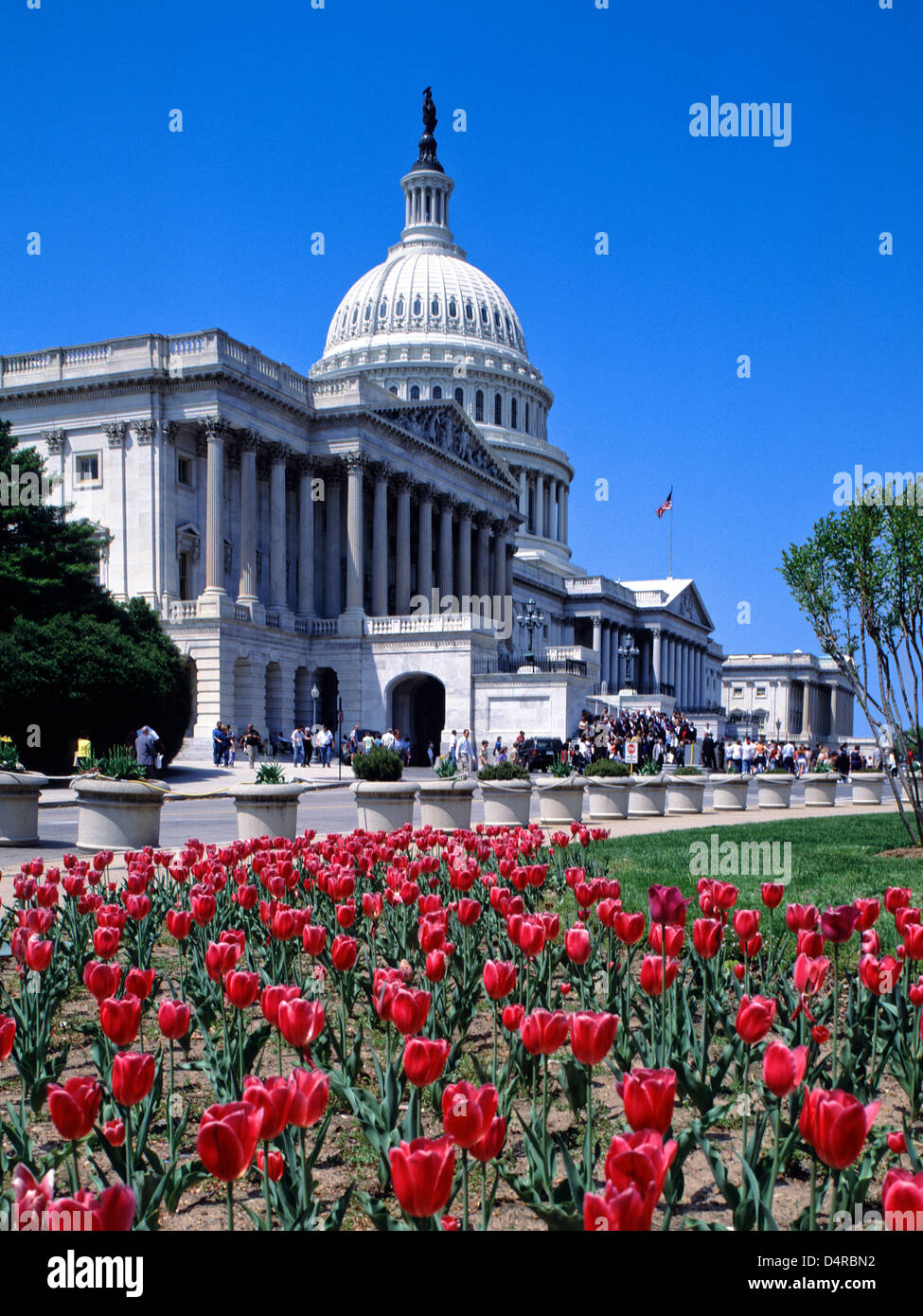 The Capitol Building, Washington, DC, North America Stock Photo - Alamy