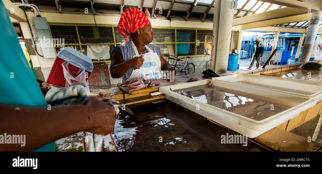 women gut fresh flying fish in Bridgetown fish market, Barbados ...