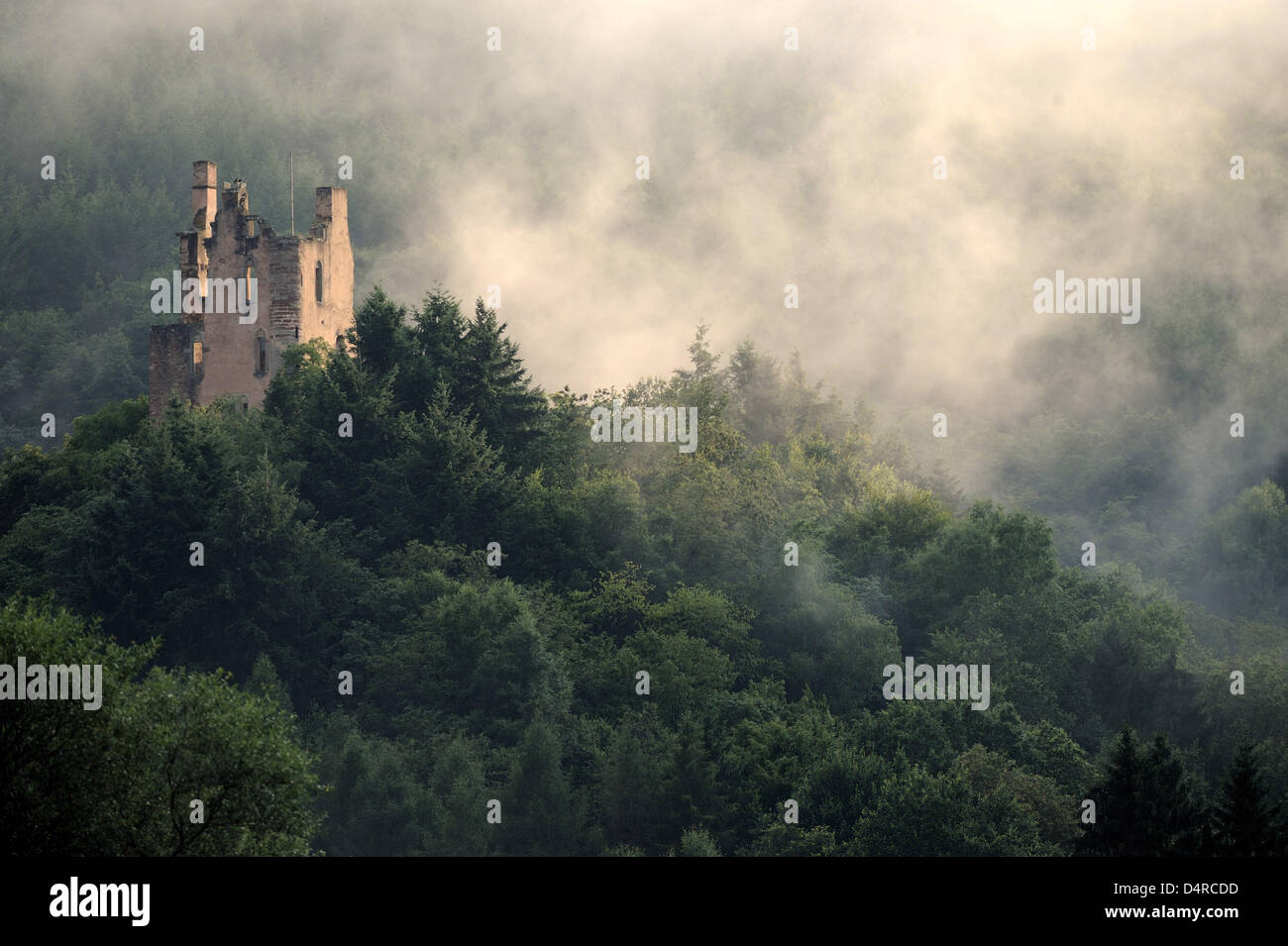 Fog emerges from behind the picturesque castle ruin Ramstein near ...