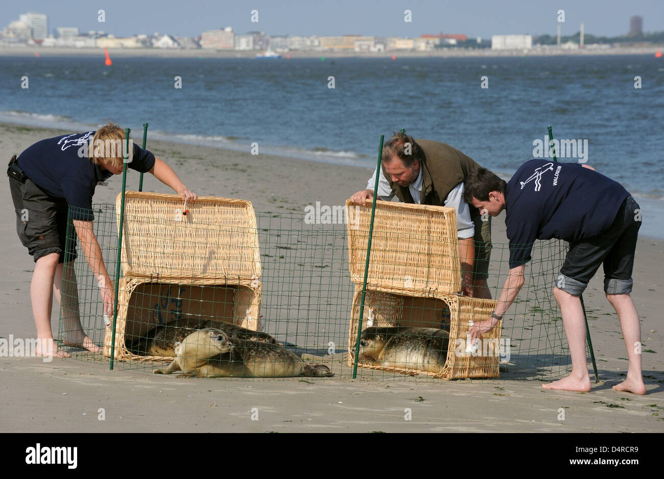 Walter Schumann (R-L), Peter Lienau and Tim Fetting of the seal station ...