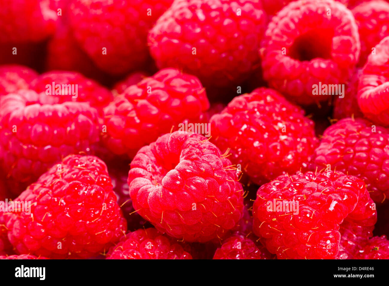 Heap of organic raspberries on white background Stock Photo - Alamy