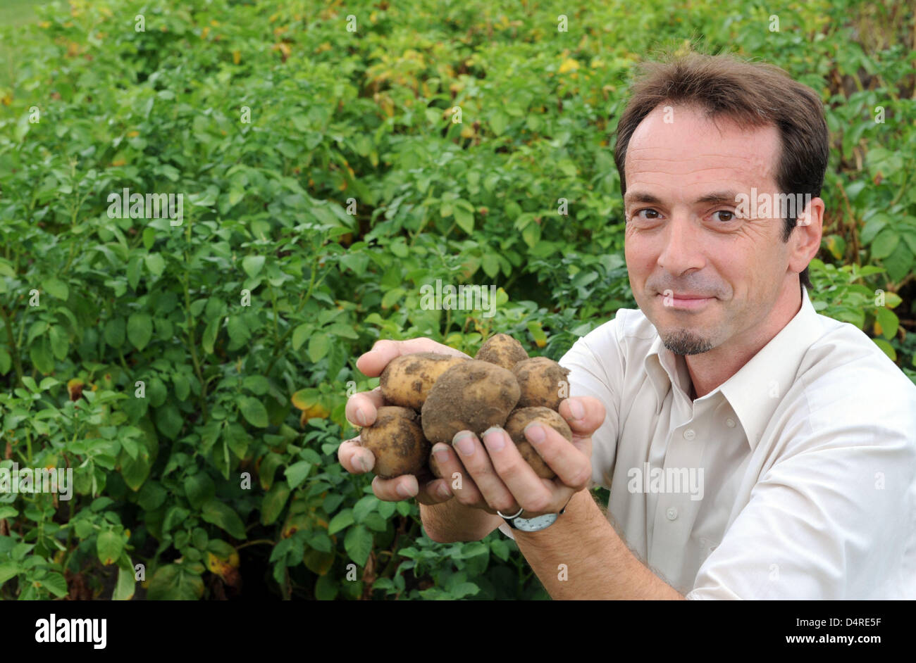 Thorsten Storck, project manager potatoes at BASF Plant Science ...