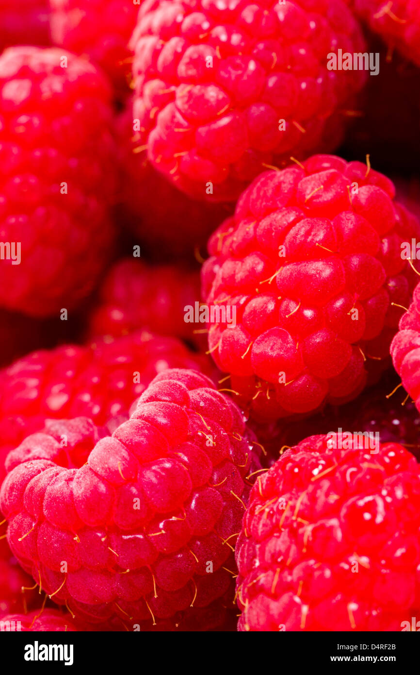Heap of organic raspberries on white background Stock Photo - Alamy
