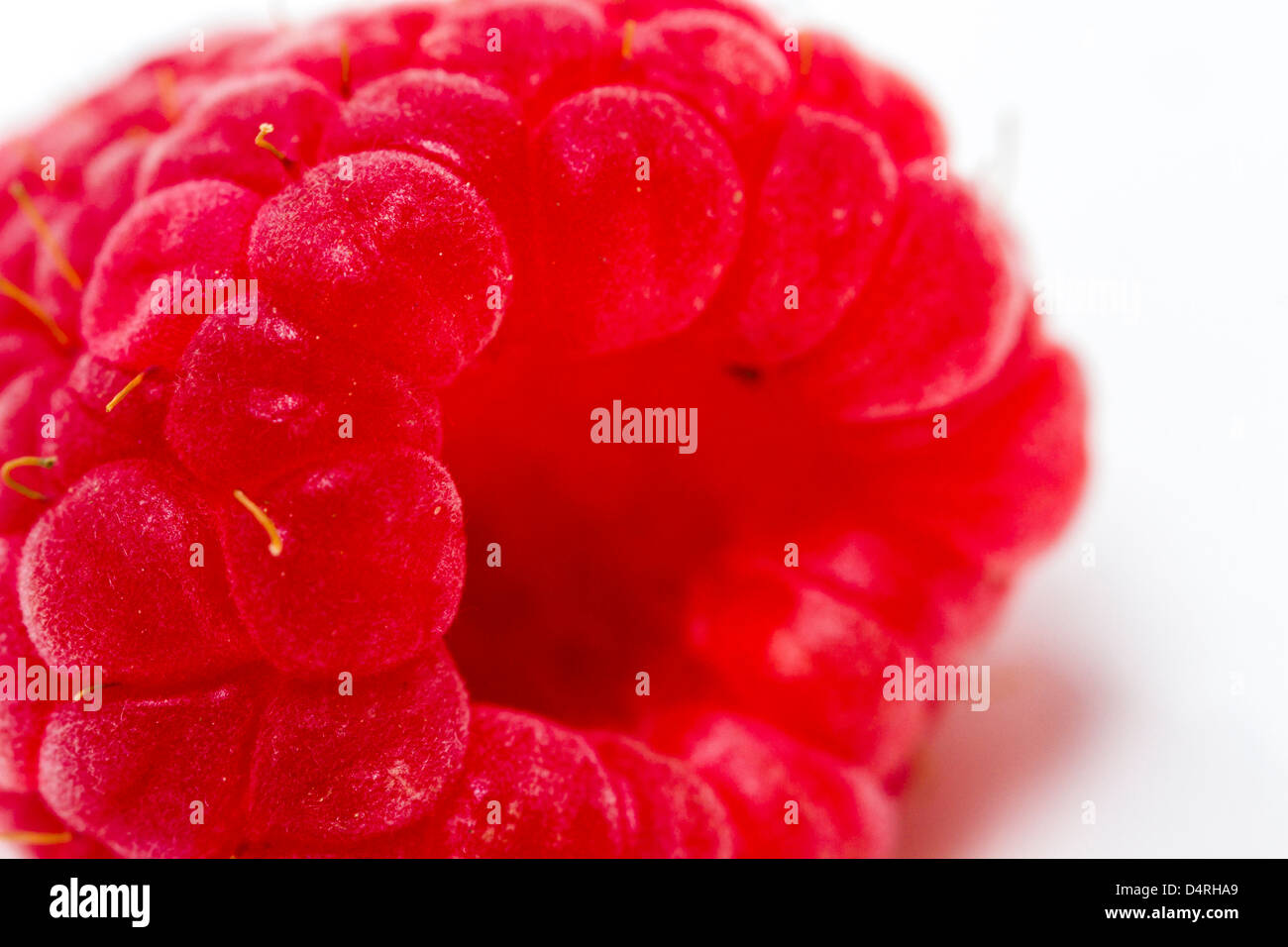 Heap of organic raspberries on white background Stock Photo - Alamy