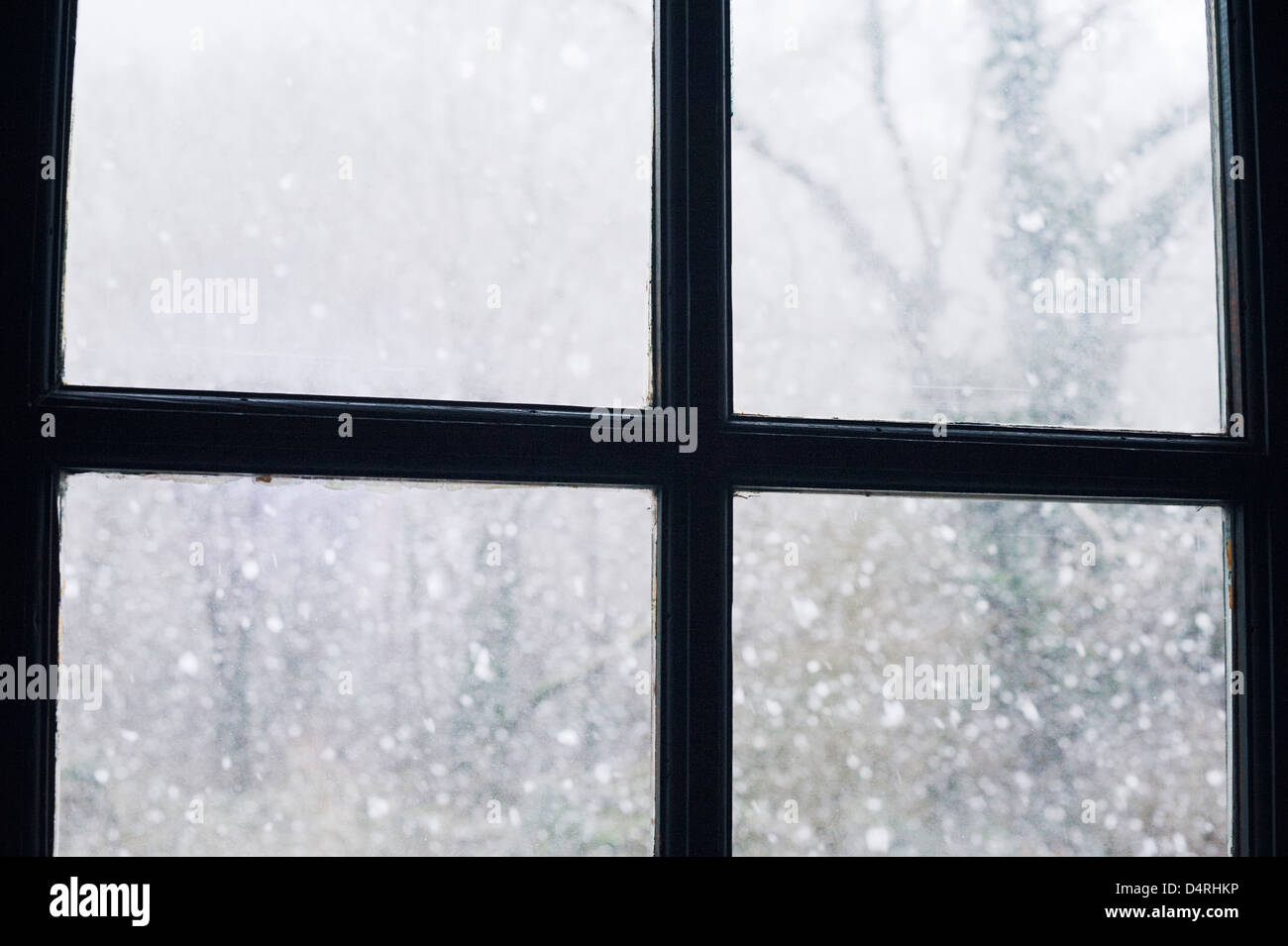 Snow falling in woodland, through a window, Wales Stock Photo - Alamy