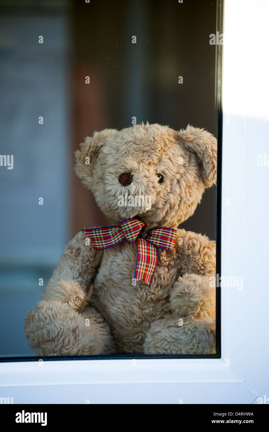Teddy bear waiting for owners return, looking forlornly out of window ...