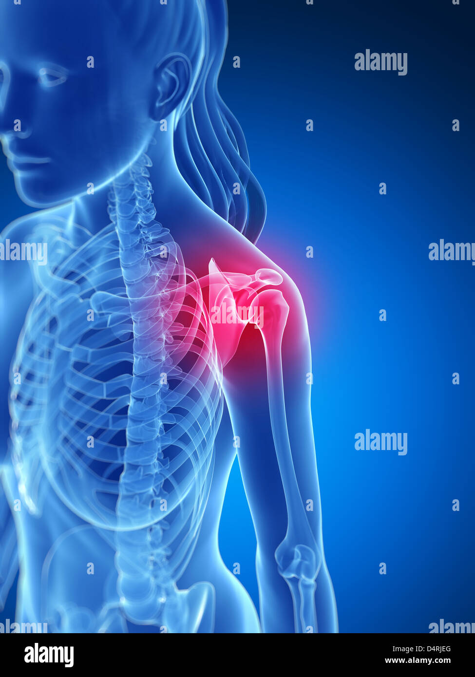 Human joint highlighted x ray hi-res stock photography and images - Alamy