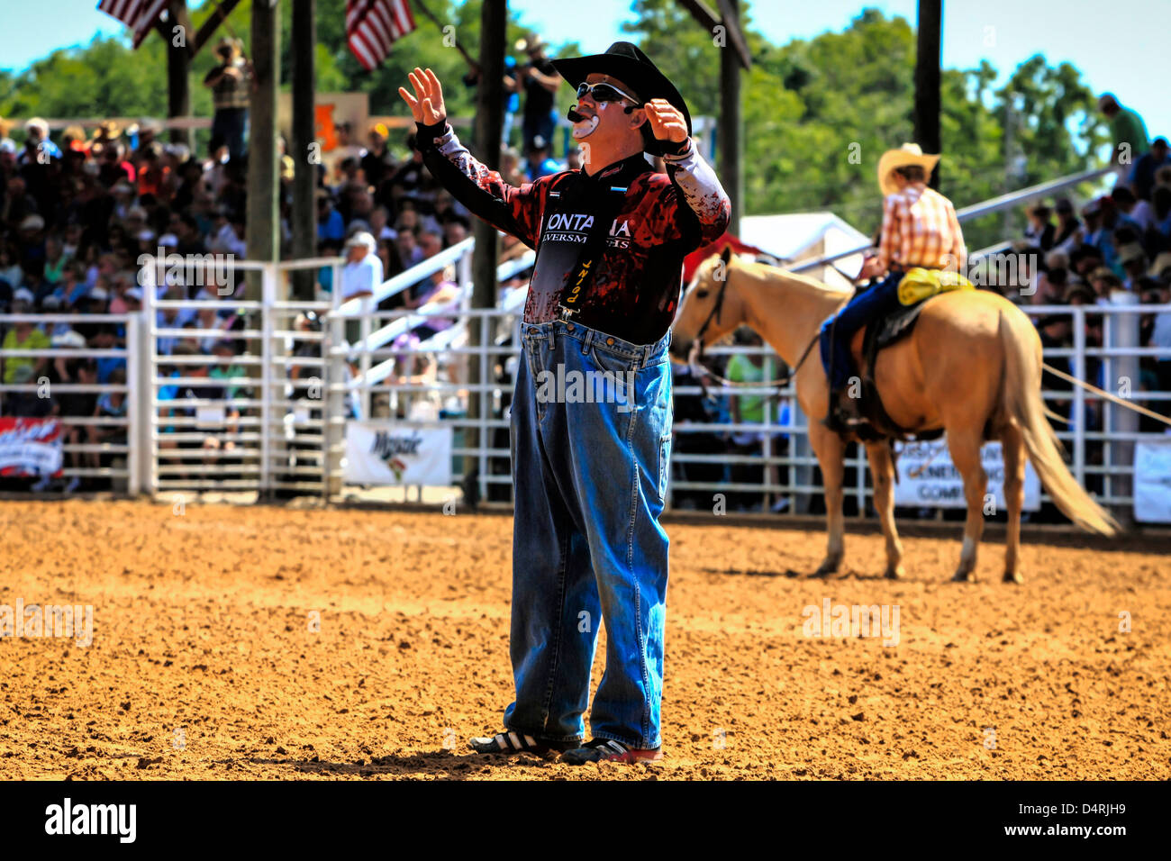 Florida state fans hi-res stock photography and images - Alamy