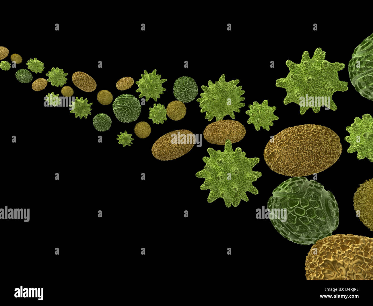 Pollen close up Stock Photo - Alamy