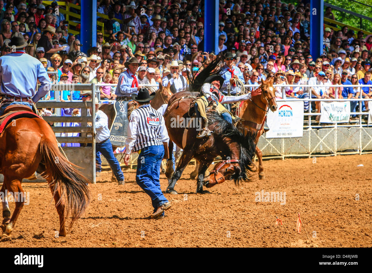 Bull riding championships hi-res stock photography and images - Alamy