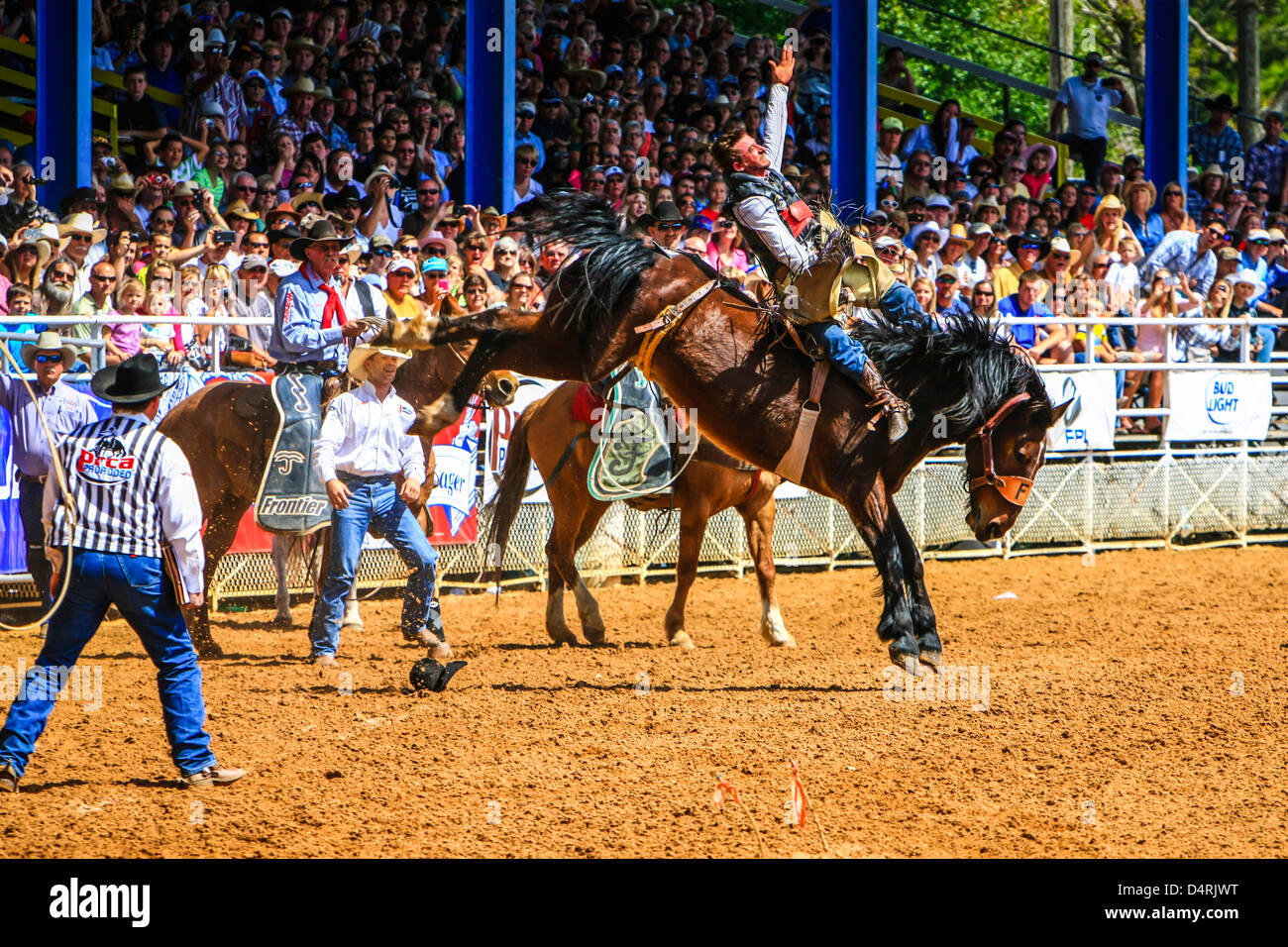 Bucking bronco riding event at the Florida State 85th Rodeo ...