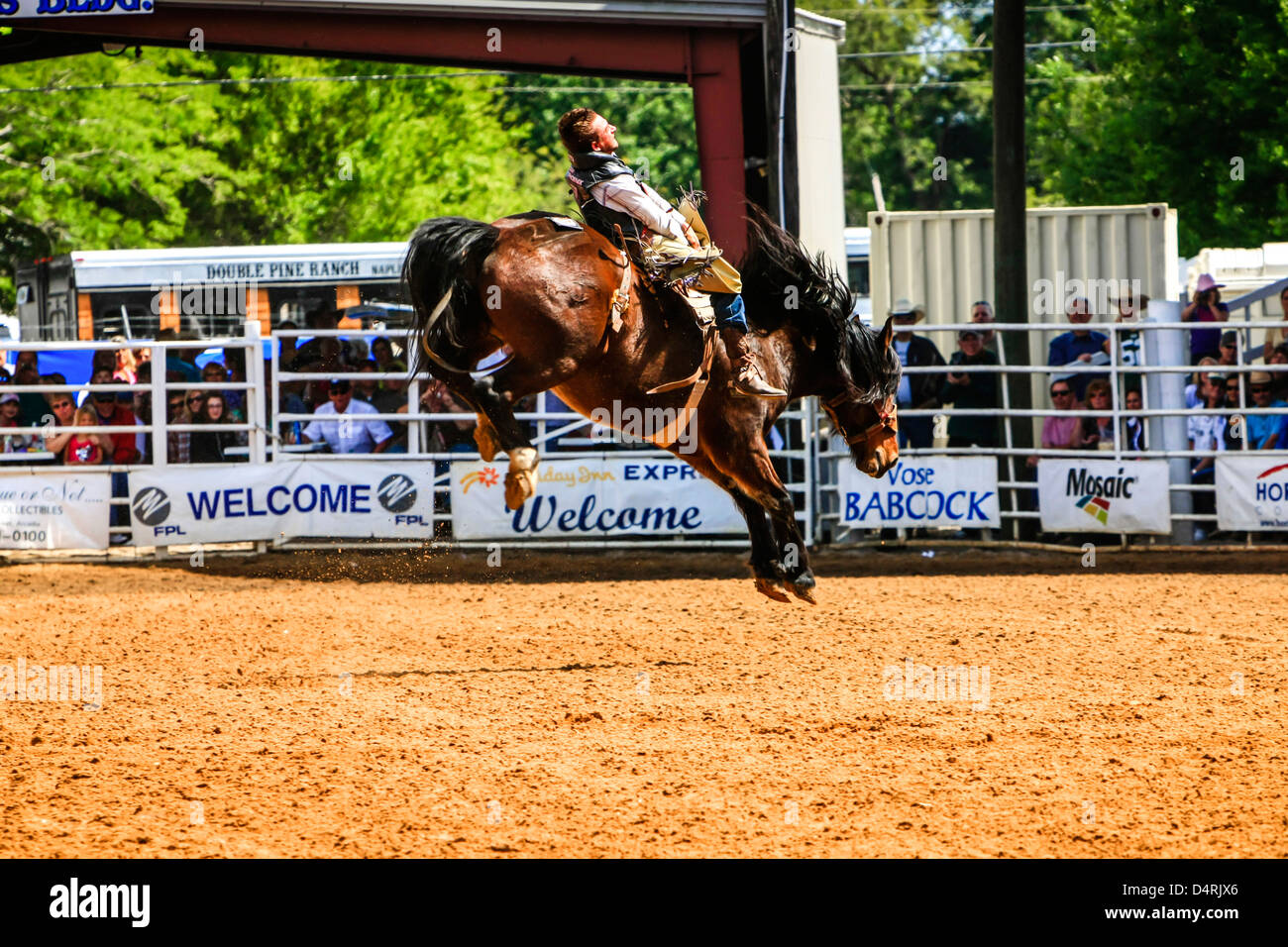 Bucking bronco riding event at the Florida State 85th Rodeo ...