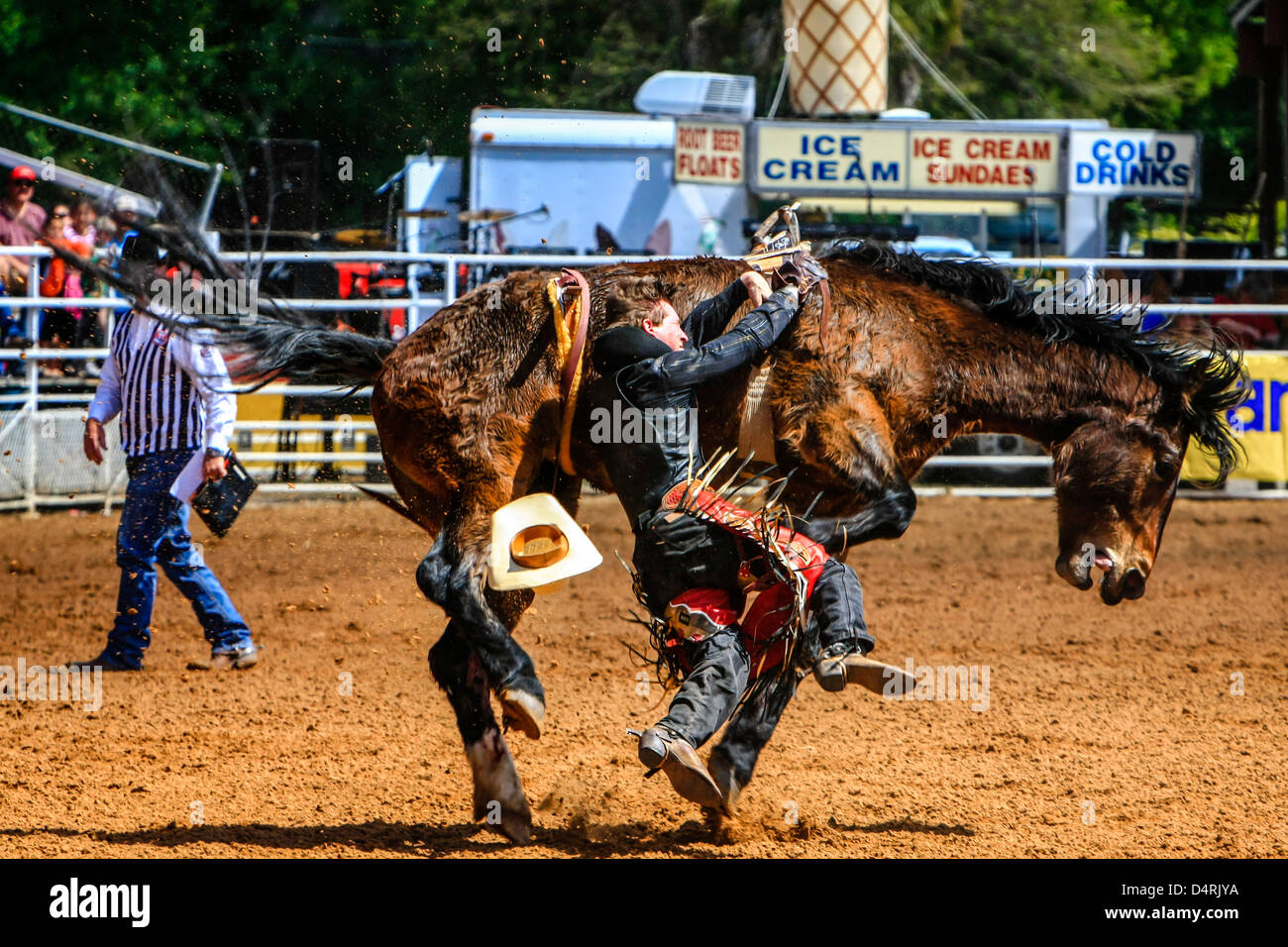 Bucking bronco riding event at the Florida State 85th Rodeo ...
