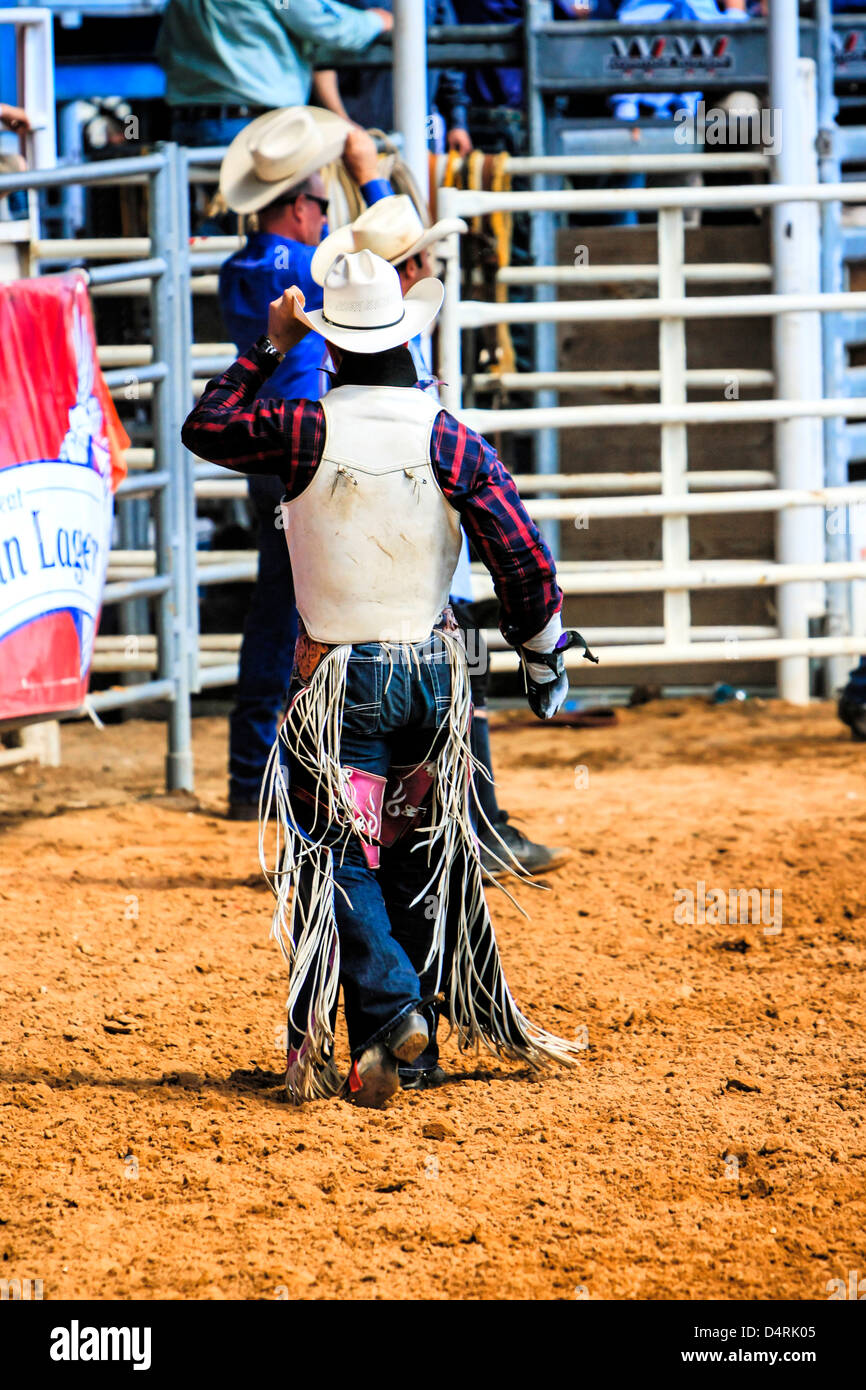 Bull riding championships hi-res stock photography and images - Alamy