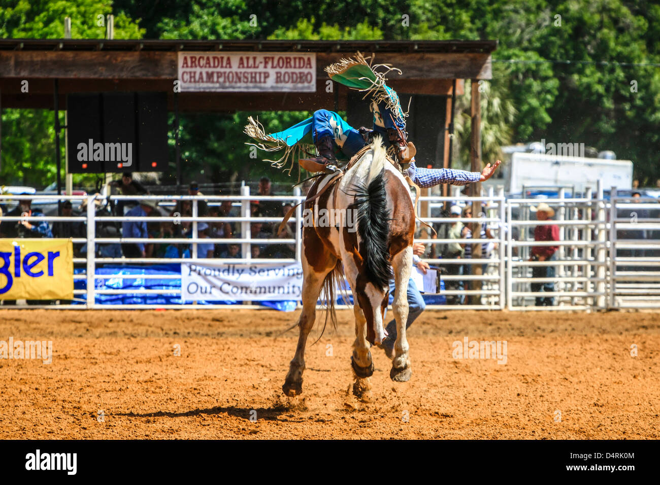 Bucking bronco riding event at the Florida State 85th Rodeo ...
