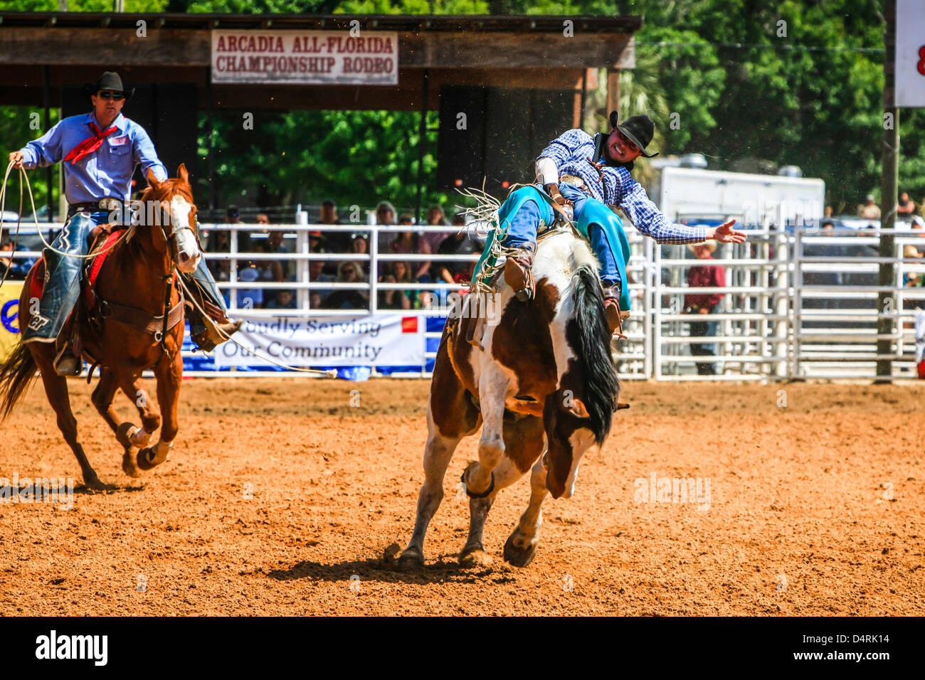 Bronco riding hi-res stock photography and images - Alamy