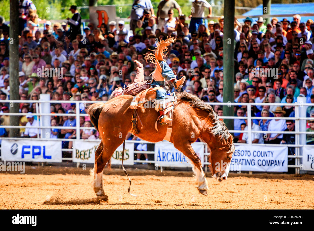 The Florida State 85th Rodeo Championships in Arcadia Stock Photo - Alamy