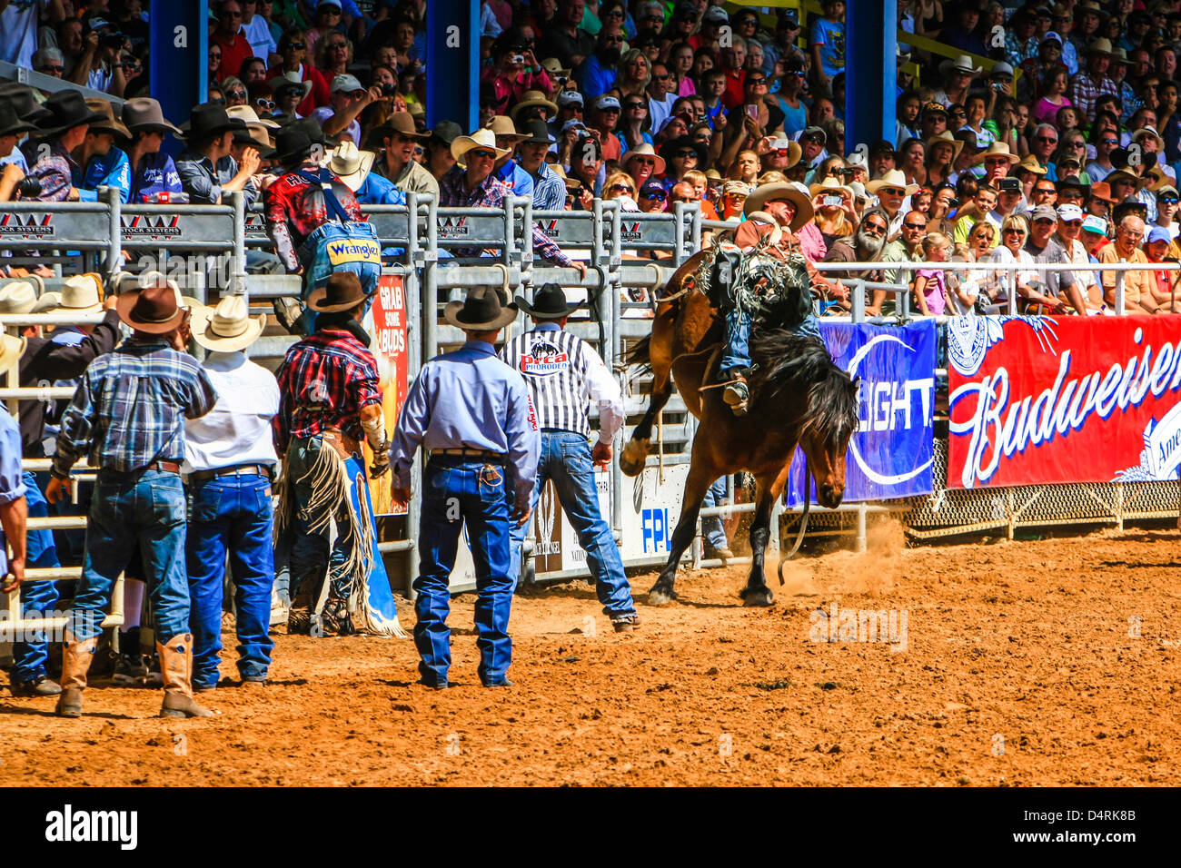 The Florida State 85th Rodeo Championships in Arcadia Stock Photo - Alamy