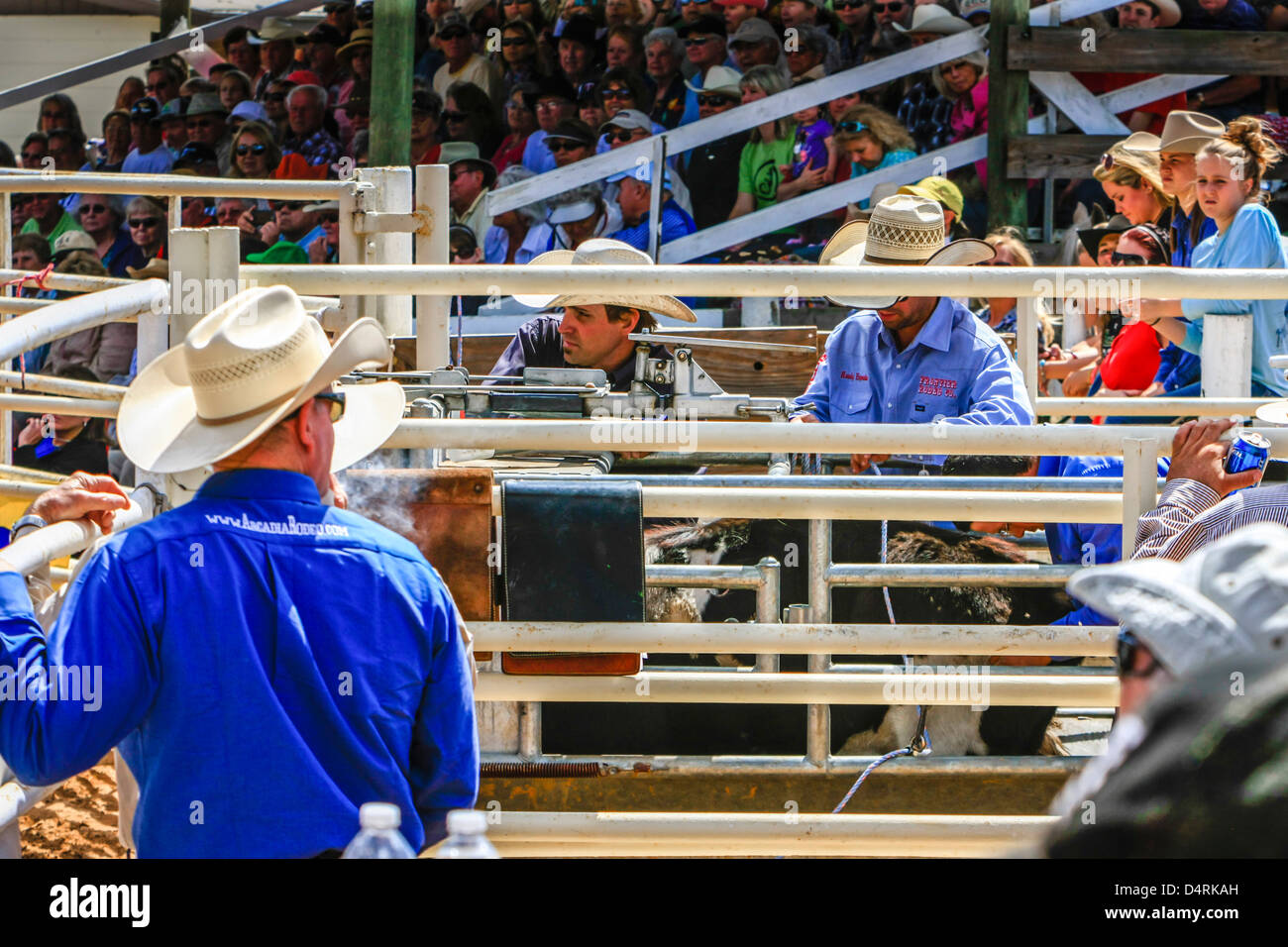 The Florida State 85th Rodeo Championships in Arcadia Stock Photo - Alamy