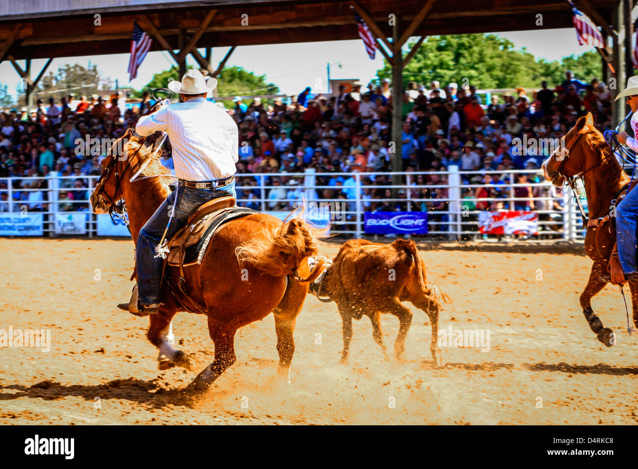 The Florida State 85th Rodeo Championships in Arcadia Stock Photo - Alamy