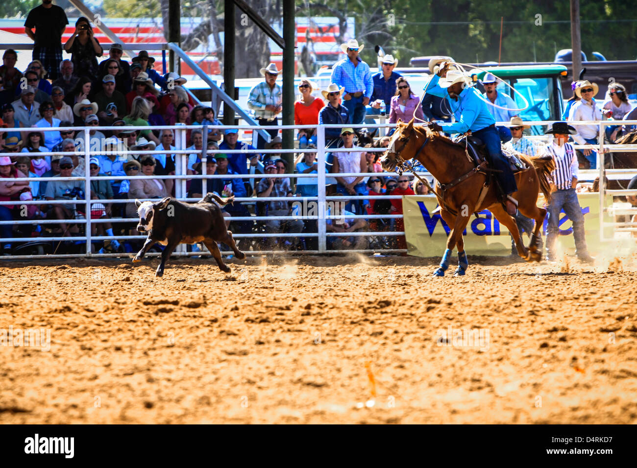 The Florida State 85th Rodeo Championships in Arcadia Stock Photo - Alamy