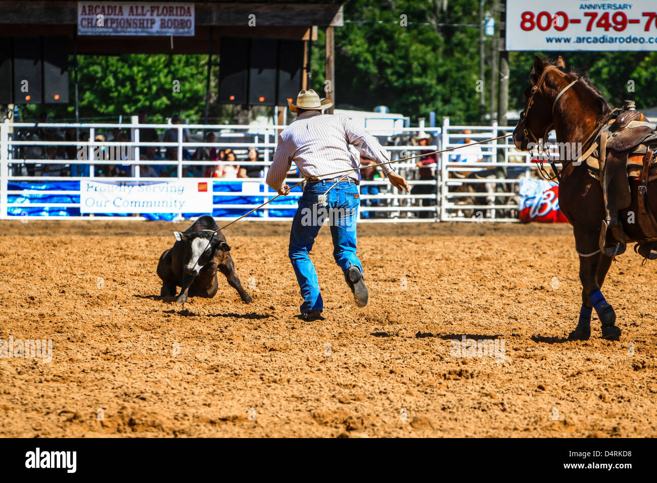 The Florida State 85th Rodeo Championships in Arcadia Stock Photo - Alamy