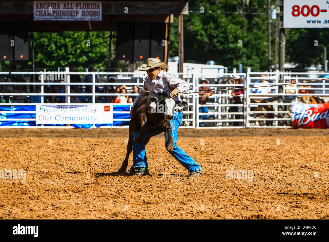 The Florida State 85th Rodeo Championships in Arcadia Stock Photo - Alamy