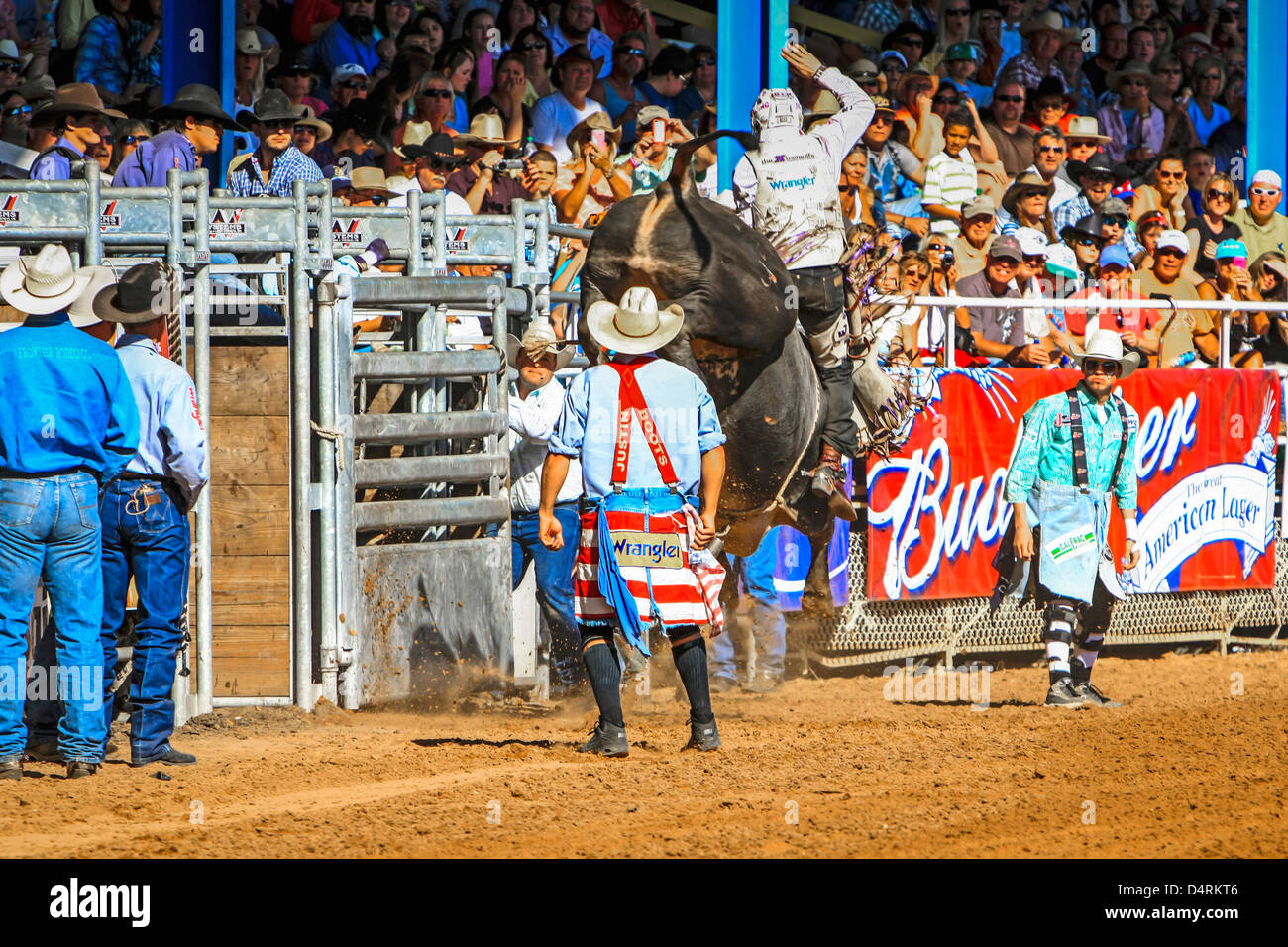 The Florida State 85th Rodeo Championships in Arcadia Stock Photo - Alamy