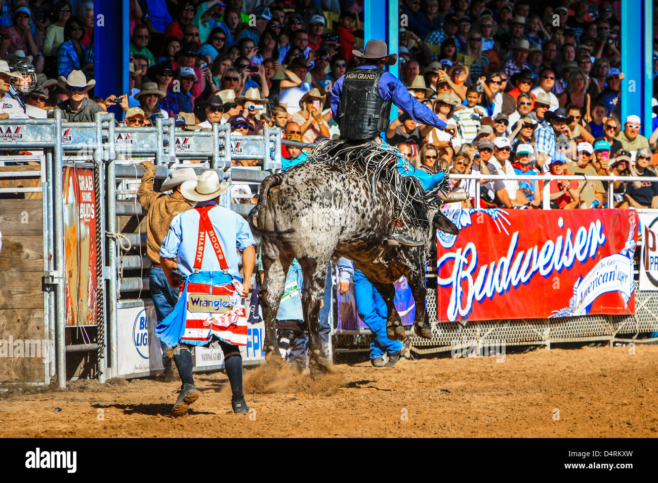 The Florida State 85th Rodeo Championships in Arcadia Stock Photo - Alamy