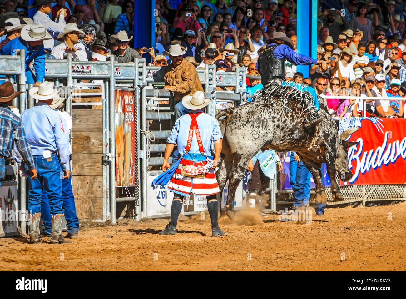 The Florida State 85th Rodeo Championships in Arcadia Stock Photo - Alamy