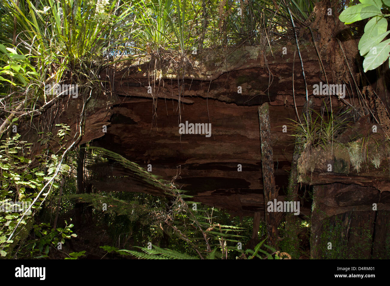 39 meter hi-res stock photography and images - Alamy