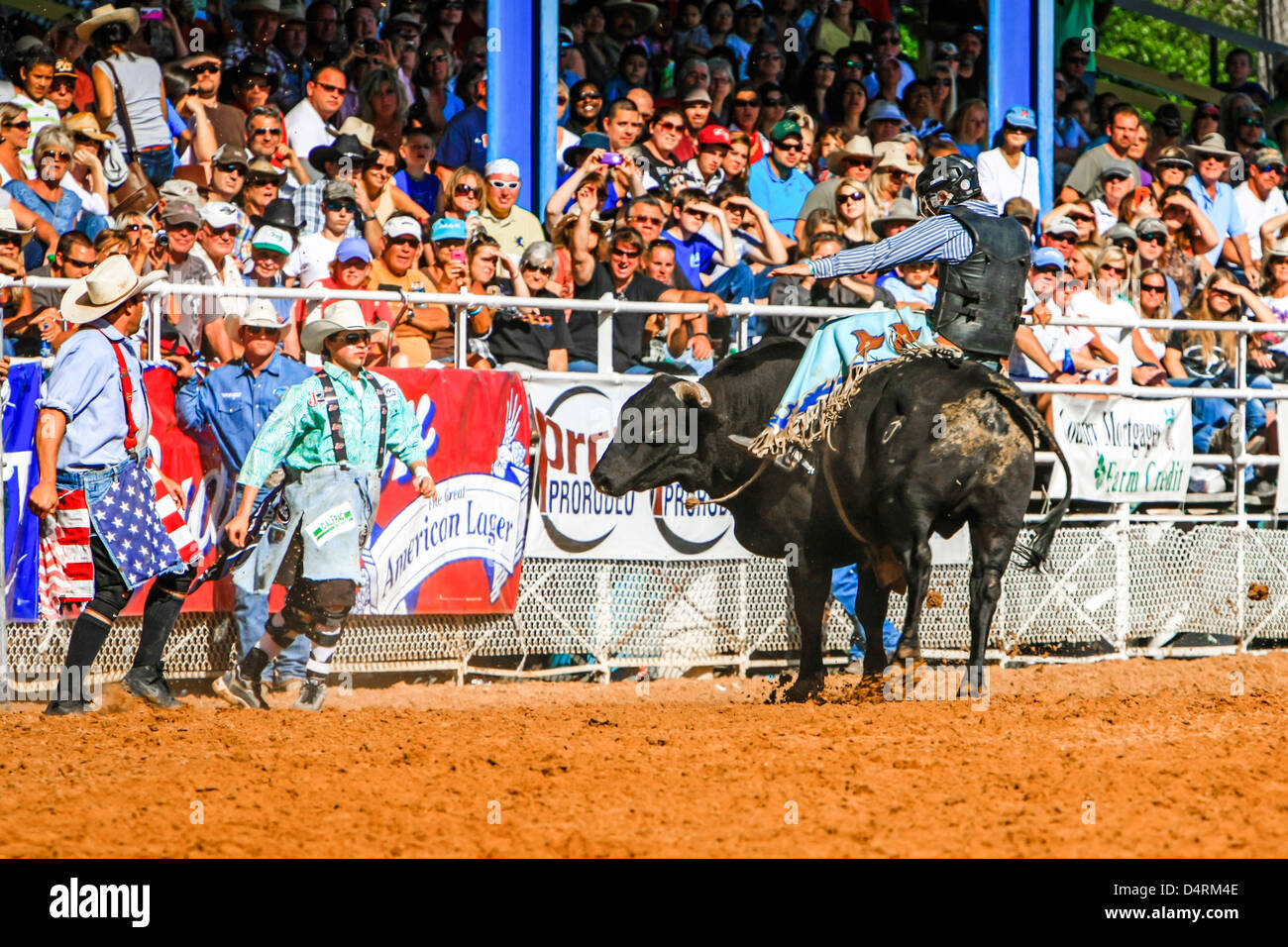 Arcadia rodeo hi-res stock photography and images - Alamy