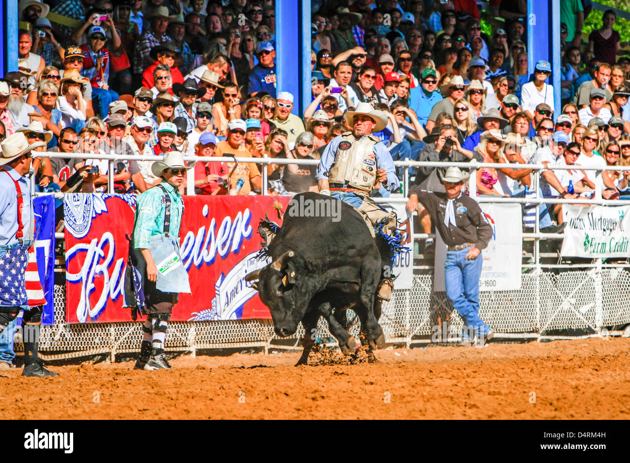 The Florida State 85th Rodeo Championships in Arcadia Stock Photo - Alamy