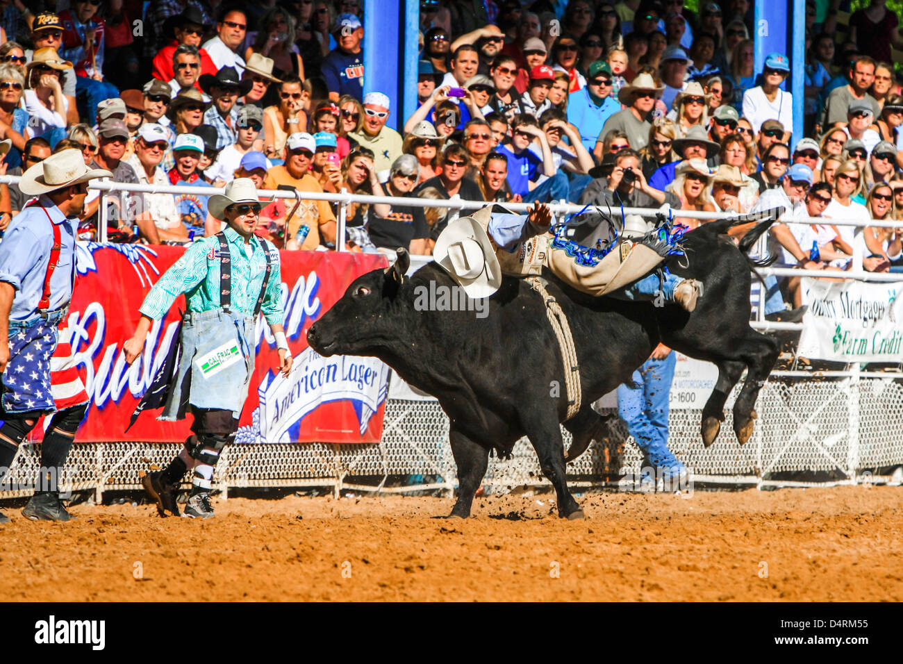 The Florida State 85th Rodeo Championships in Arcadia Stock Photo - Alamy